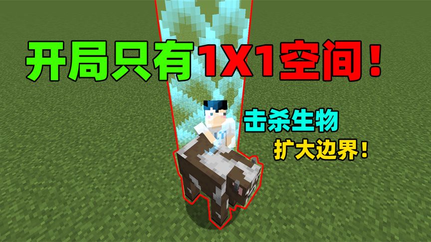 开局只有1x1空间!击杀生物,扩大边界?如何生存下去!我的世界