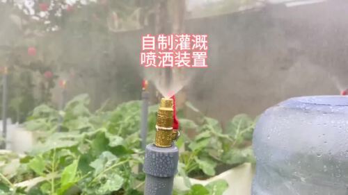 小伙利用PVC管和一个塑料桶自制喷洒装置太有创意了!