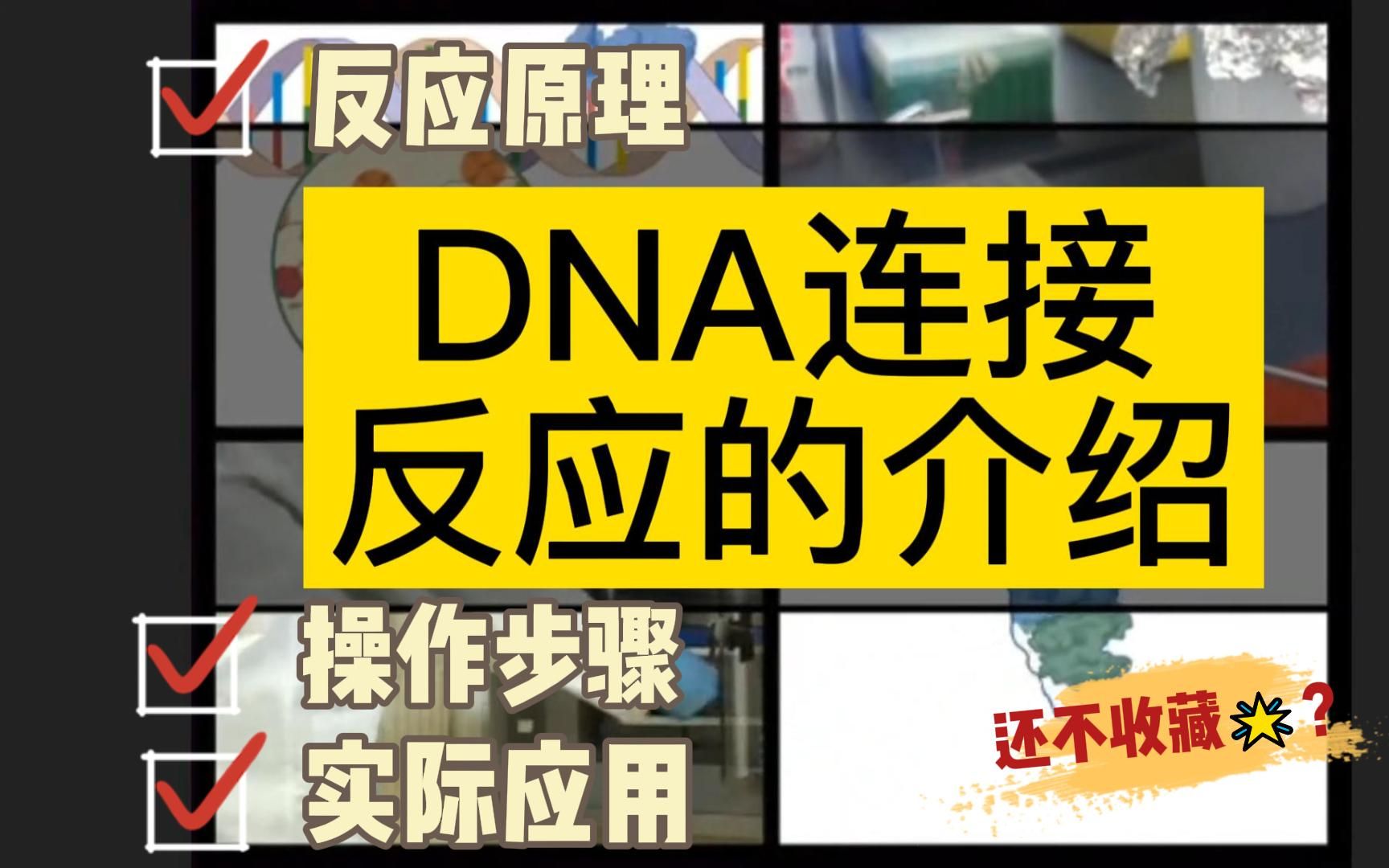 构建过表达载体七|DNA连接反应|DNA连接酶|黏性末端和平口末端|目的...