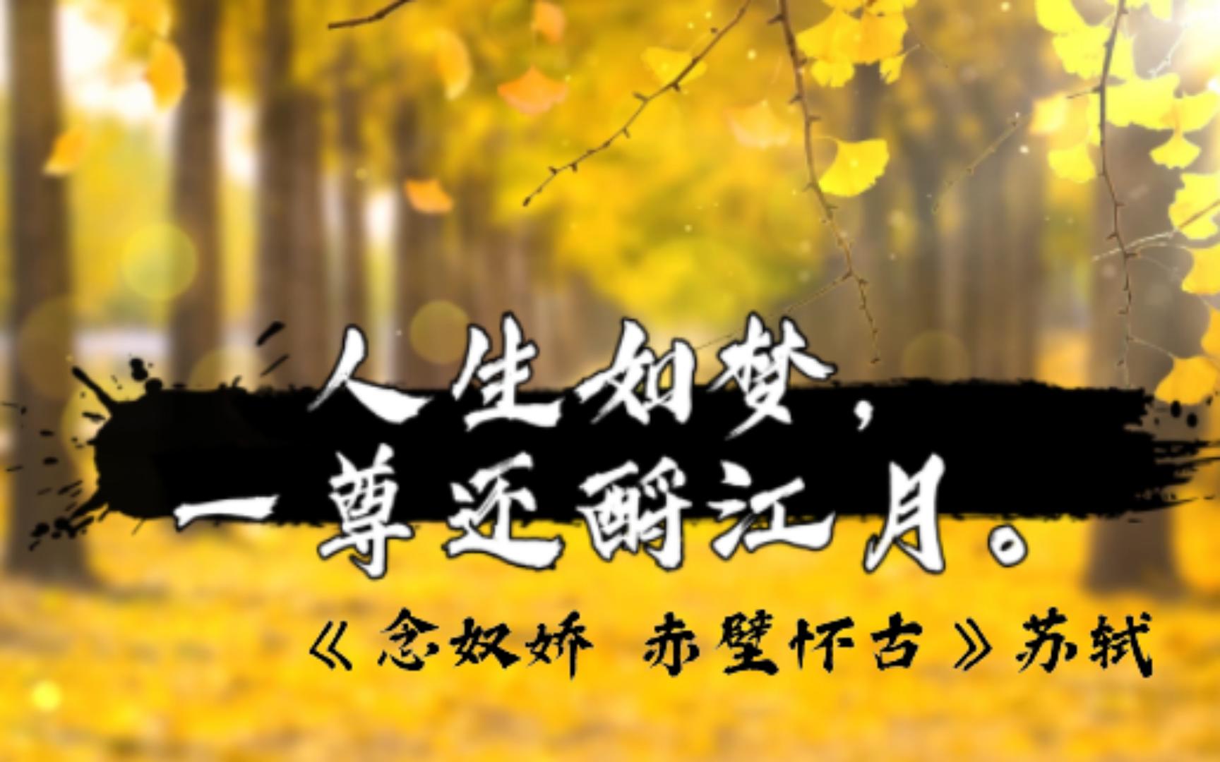 《念奴娇 赤壁怀古》苏轼