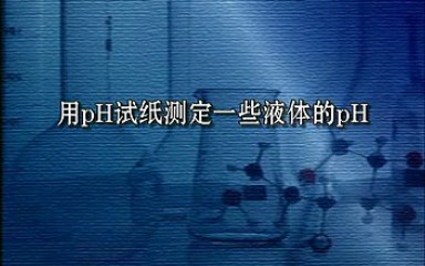 3.3.2用pH试纸测定溶液的pH P89