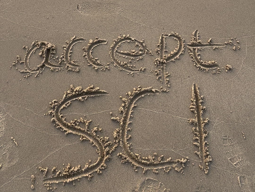 sci accept,见者有份