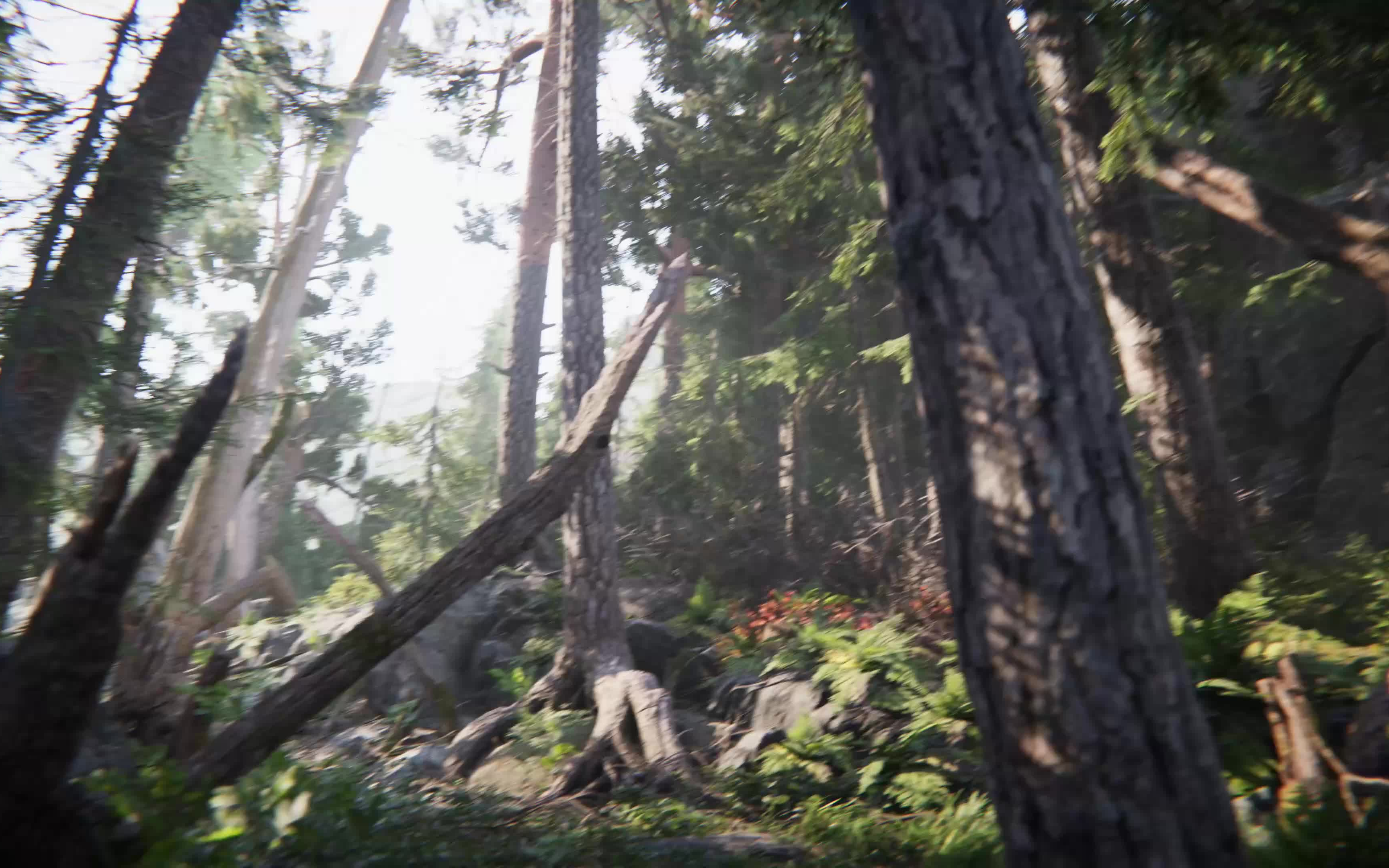 【真4K画质】森林体验PS5画质