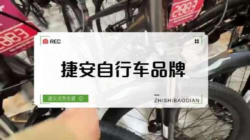 捷安特:从代工到世界第一,自行车王国的逆袭之路