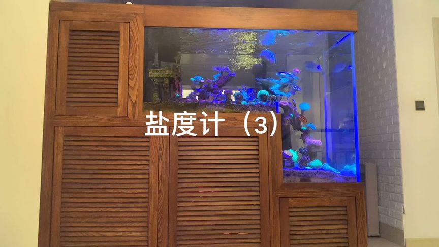 盐度计(3)光学比重计 #海缸趣事 #海水缸 #海水鱼