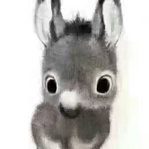 木叶枯城 