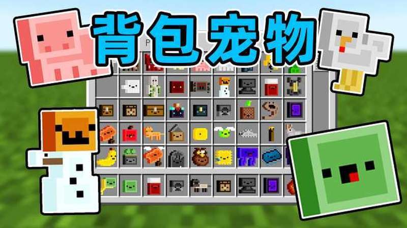 我的世界:超萌的背包宠物!连黑洞都可以养?小包已经被萌化了