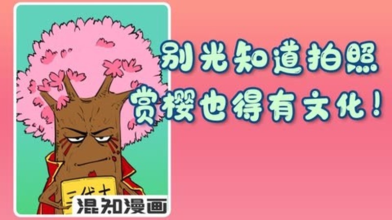 早在秦汉中国就开始种植樱花别光知道拍照,赏樱也得有文化!