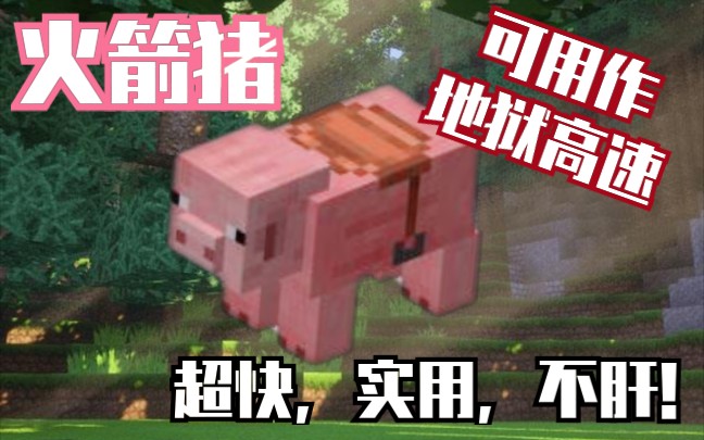 【MCBE】在原版生存繁殖出2b2t的火箭猪 (教程)(非标题党)