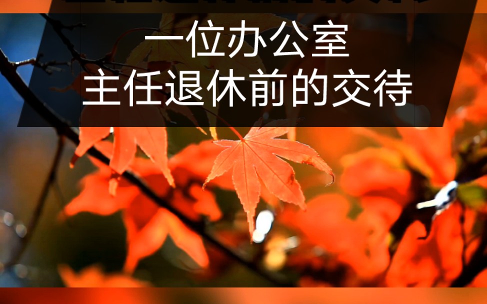 一位办公室主任退休前的交待(30条)