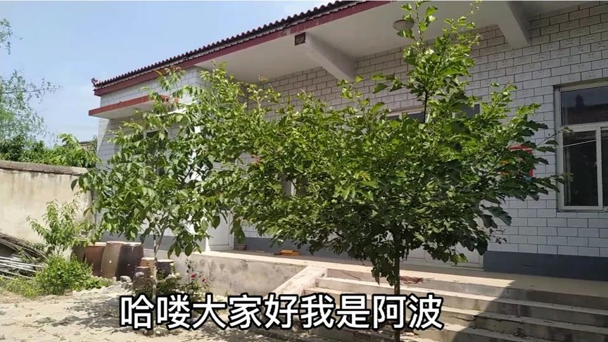 宽敞干净的院落,花草树木即遮阴挡阳,又美化庭院,多么惬意呀。