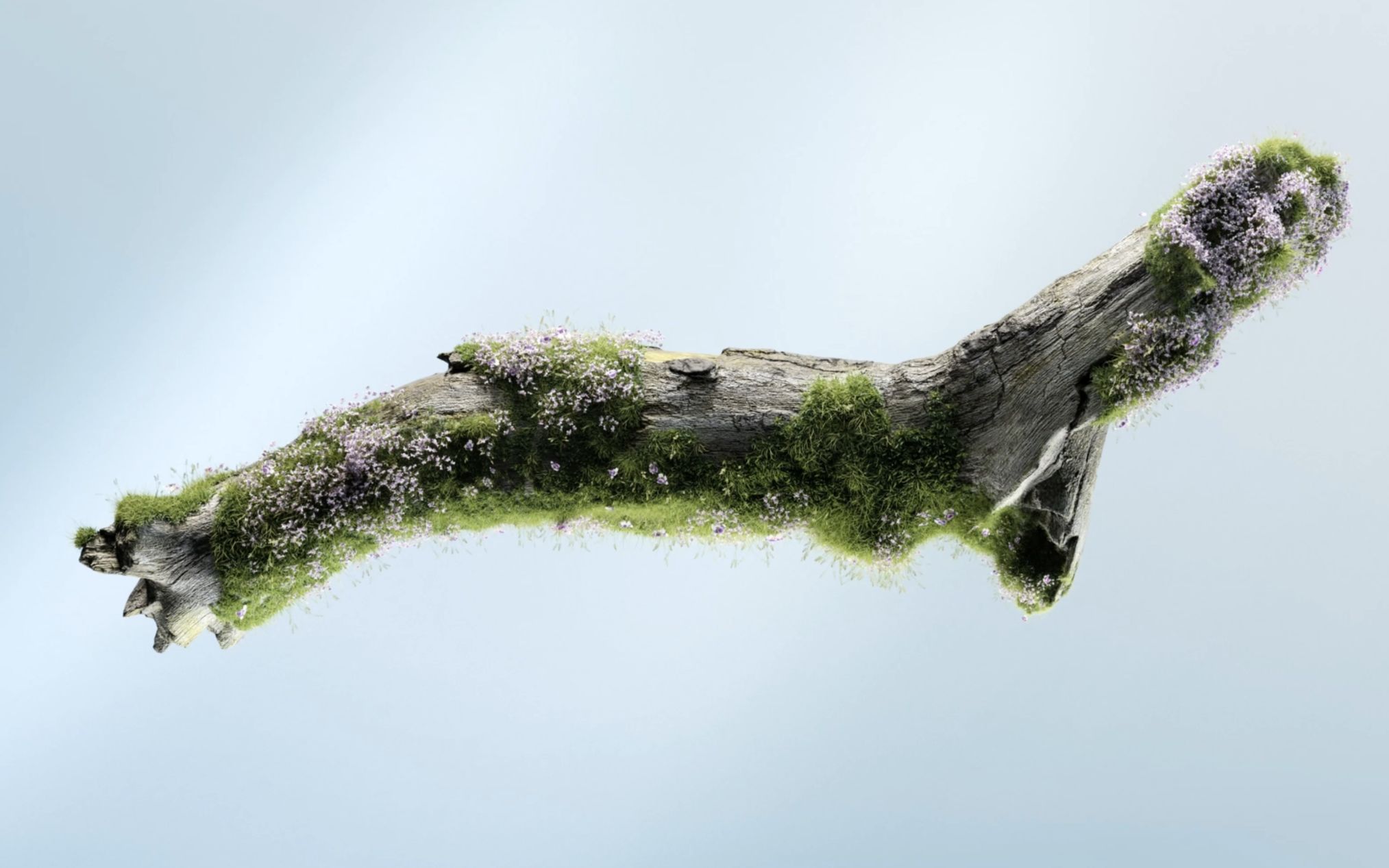 C4D & OC教程 顶点贴图分布 Forester植物插件OC场景渲染