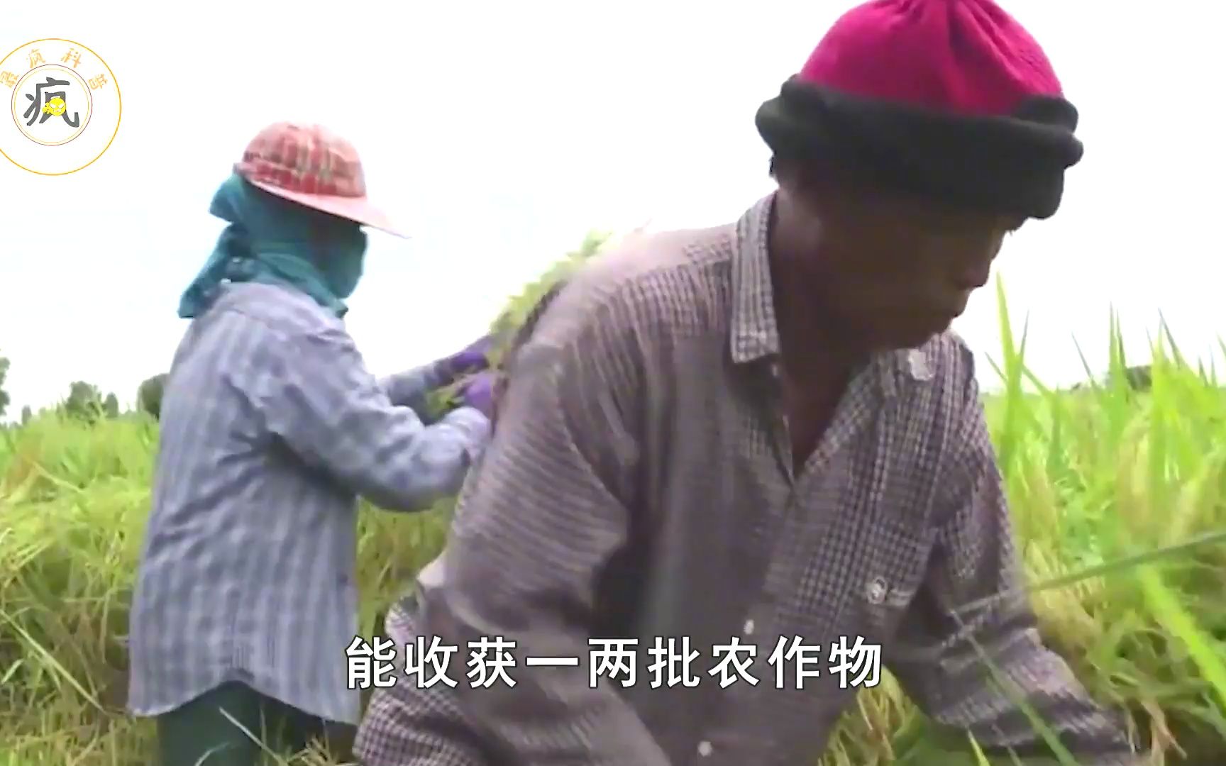 世界第一长河尼罗河,相比长江可怕在哪?为何很少人敢下水游泳