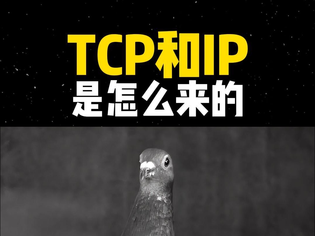 TCP和IP是怎么来的?