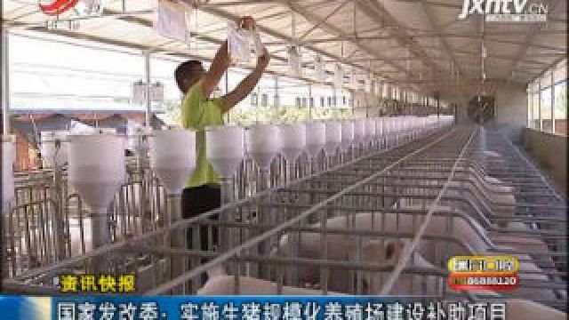 国家发改委:实施生猪规模化养殖场建设补助项目