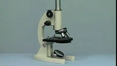 初中生物实验——练习使用显微镜