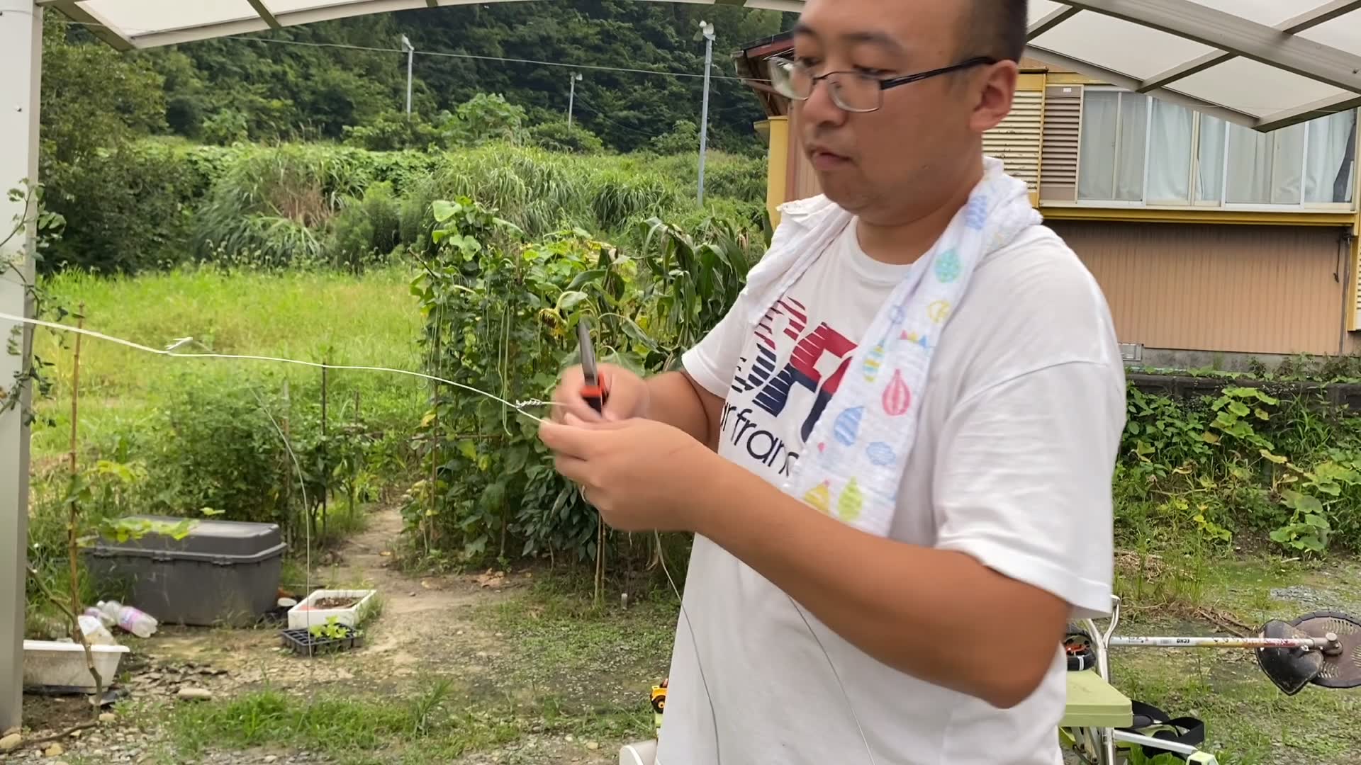 刚种下半年的葡萄居然长这么高,搭架子失败了,大伙有什么建议么