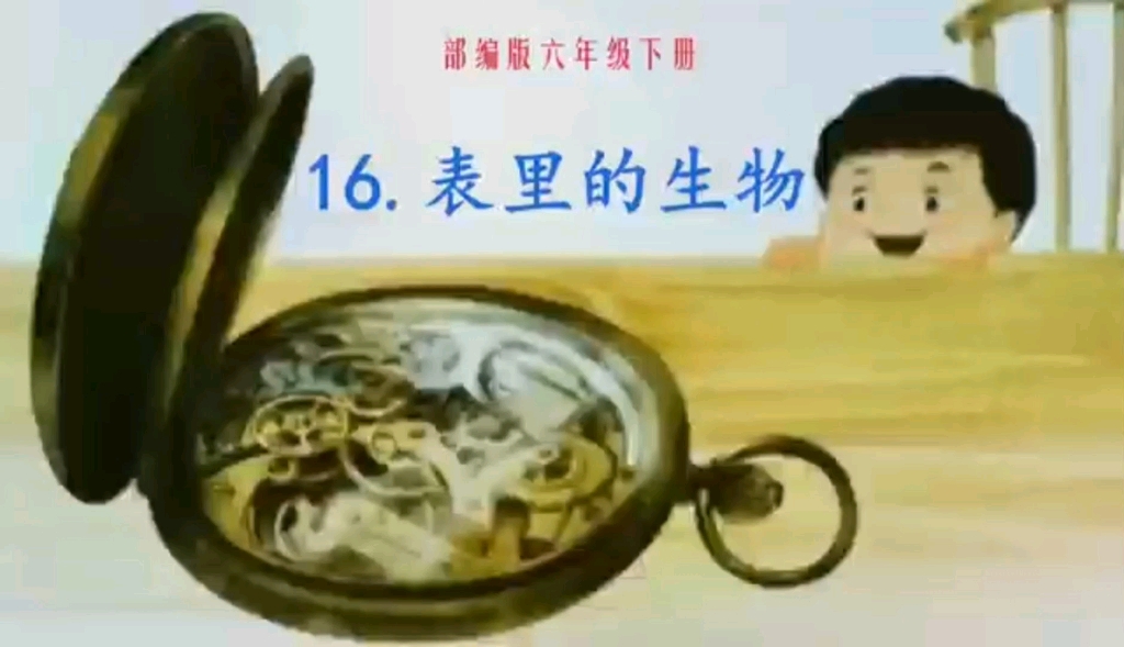 六下《表里的生物》原创精品课件,部编版小学语文