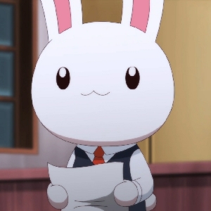 木槿棉樟Bimer 