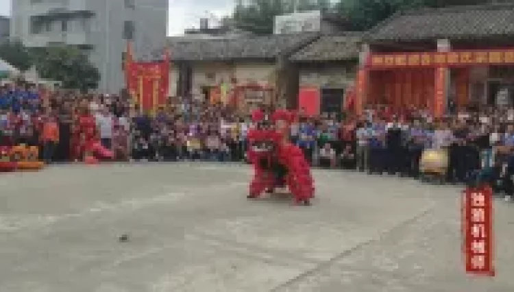 农村小伙,表演舞狮,动作娴熟,堪比职业选手