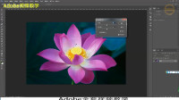 Adobe全套教程PScc2017第十六节:选取的含义和选区的加减控