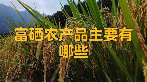 富硒农产品大盘点:这10种黄金食物让你吃出健康免疫力!