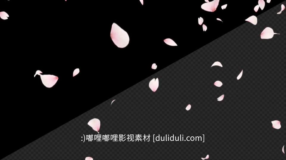 Pr/Ae/Fcpx/Edius视频素材-18款唯美樱花飘落花朵桃花飞舞动画素材 ...