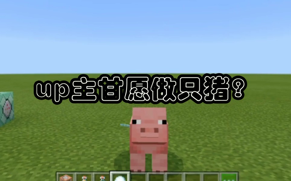 《我的世界》用指令变成一只猪?指令教学 网易可用