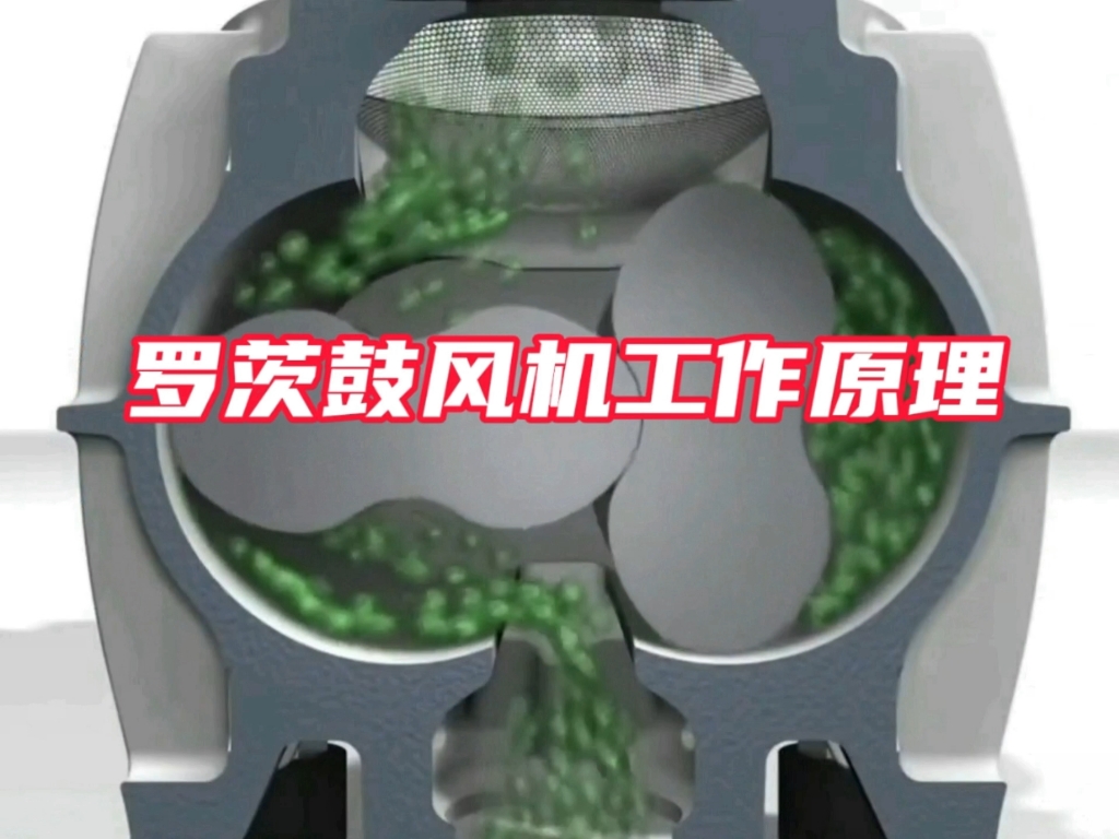 罗茨风机的工作原理,罗茨鼓风机的内部结构应用领域
