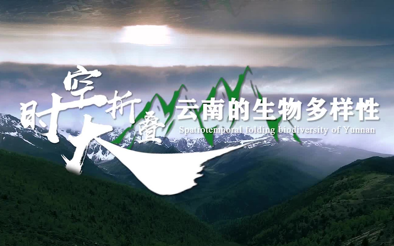 “云南生物多样性”是什么?这个视频告诉你