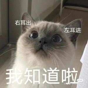 是璃璃诶 