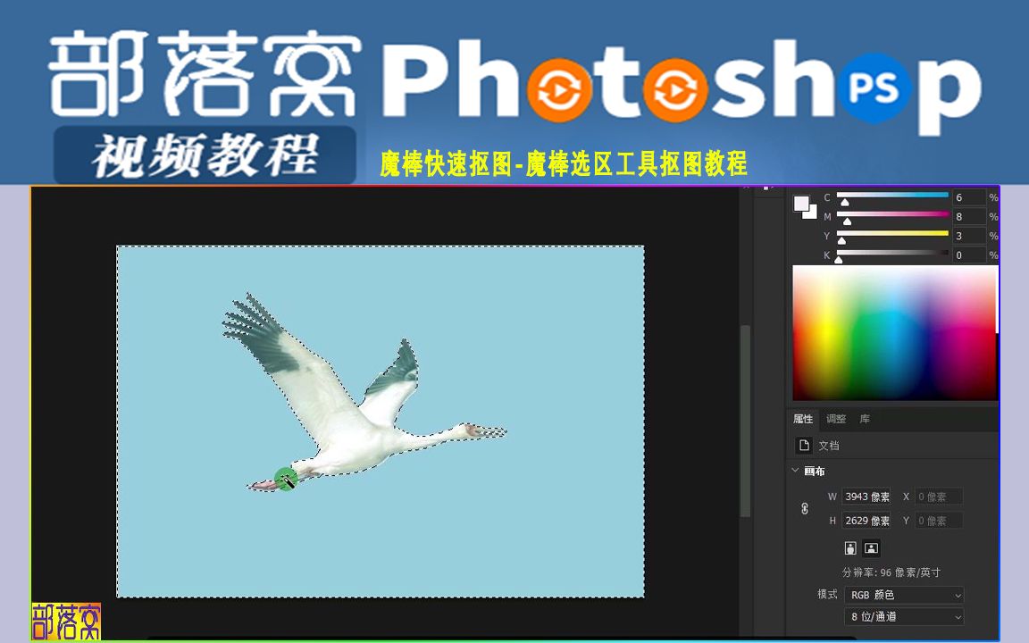 ps魔棒快速抠图视频:魔棒选区工具抠图教程