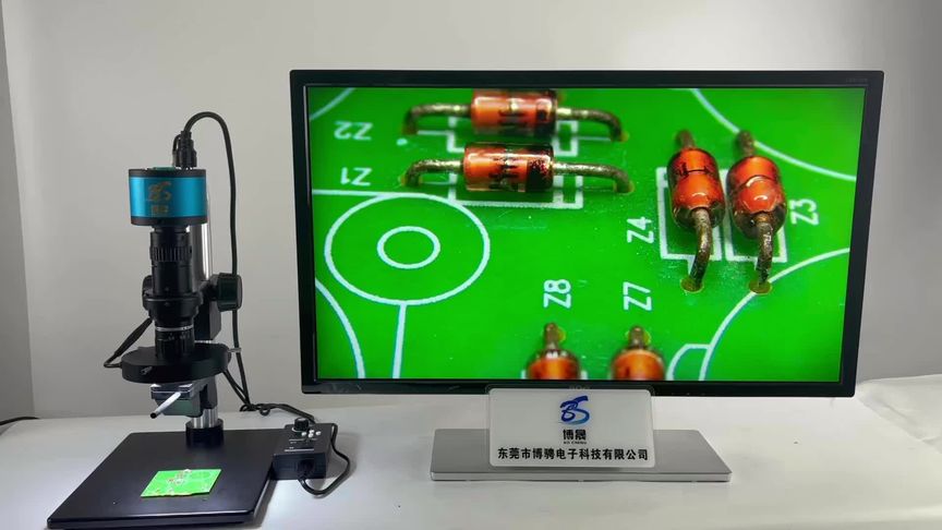 3D数码显微镜#显微镜下的世界