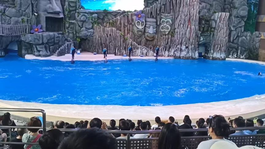 珠海长隆海洋王国海豚表演