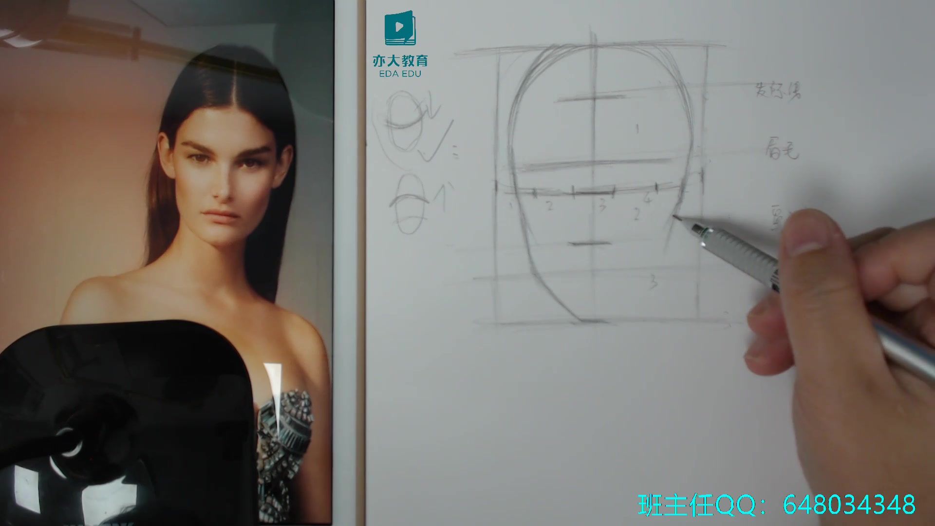 【头部比例】三庭五眼零基础入门手绘