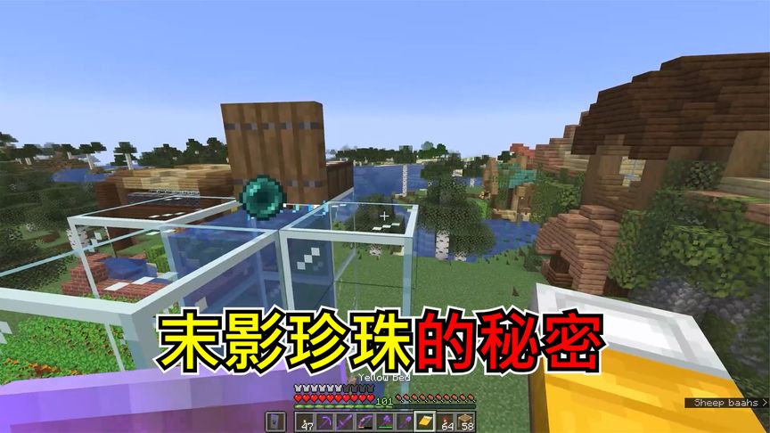 我的世界:关于末影珍珠的小秘密