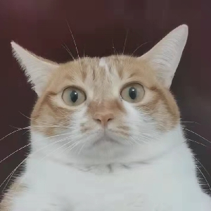 太和和和 