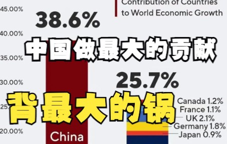 中国做最大的贡献,背最大的锅!
