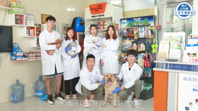 大学专业解密￨山东农业大学动物医学专业:保障动物的健康和安全