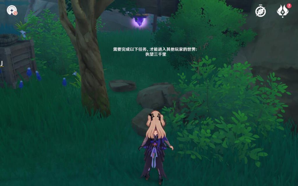 原神任务bug,无法完成,完成不了就不能联机.
