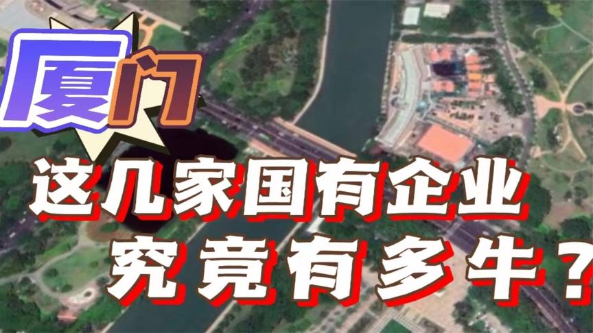 “震山虎”强势来袭,厦门这些知名企业你知道几个?一起涨见识