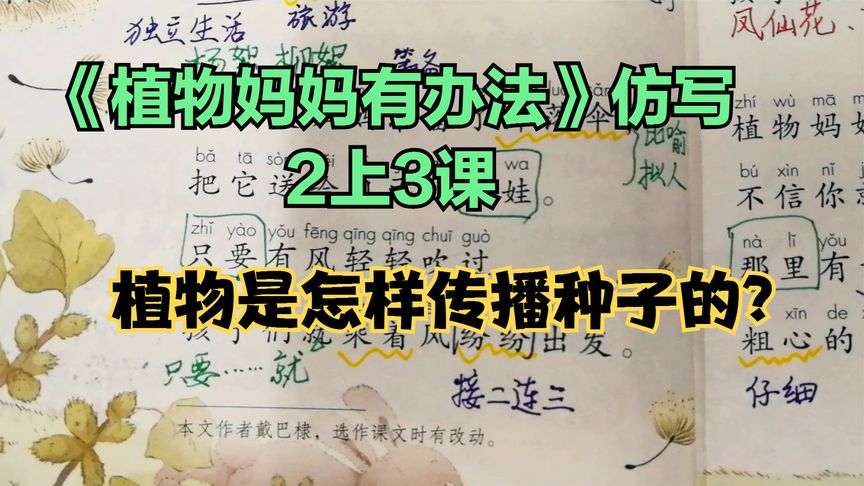 《植物妈妈有办法》仿写,植物传播种子的办法,2上语文一单元3课