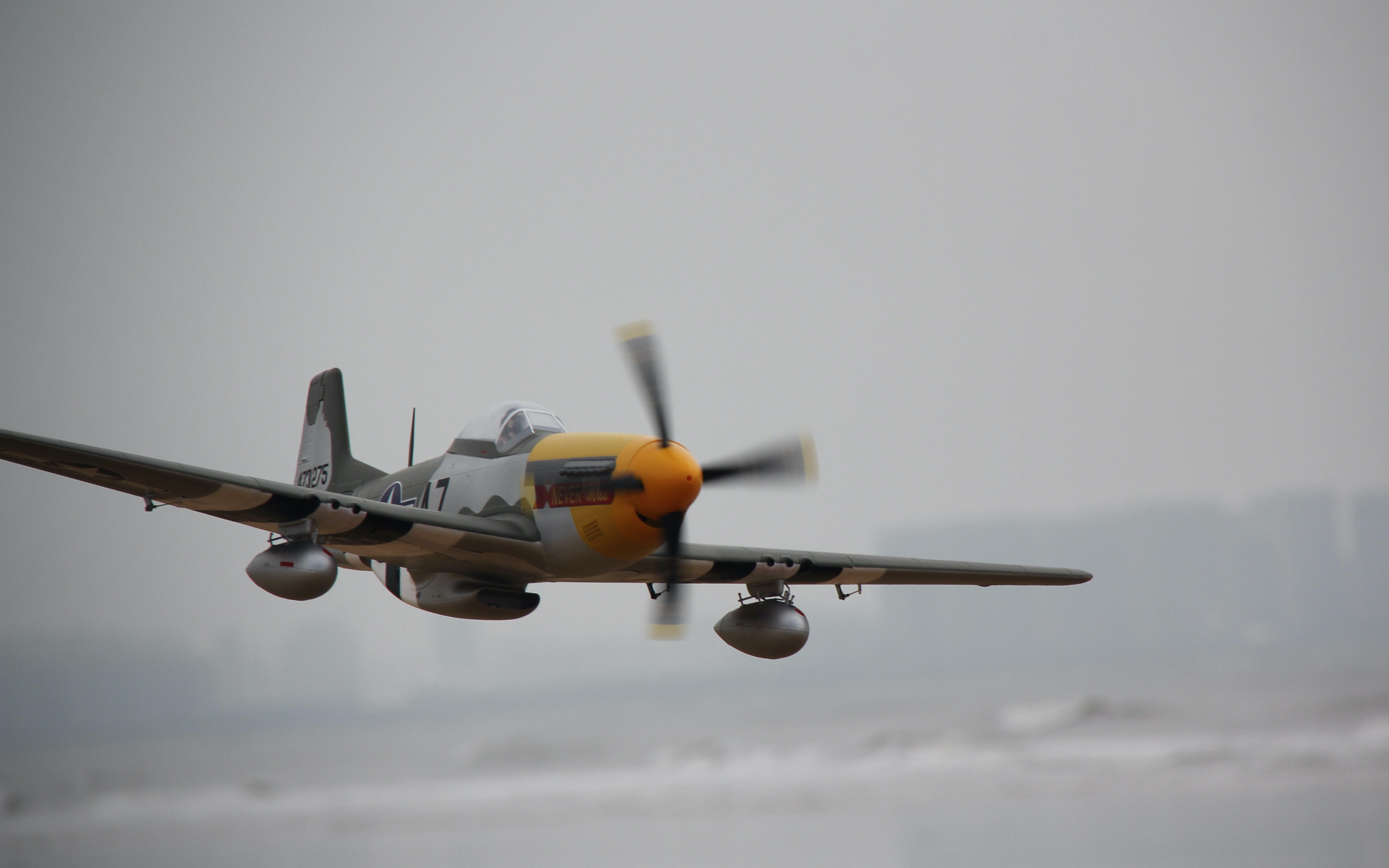 【航模体验】叱咤风云的战斗机 FMS P51 “野马”开箱体验