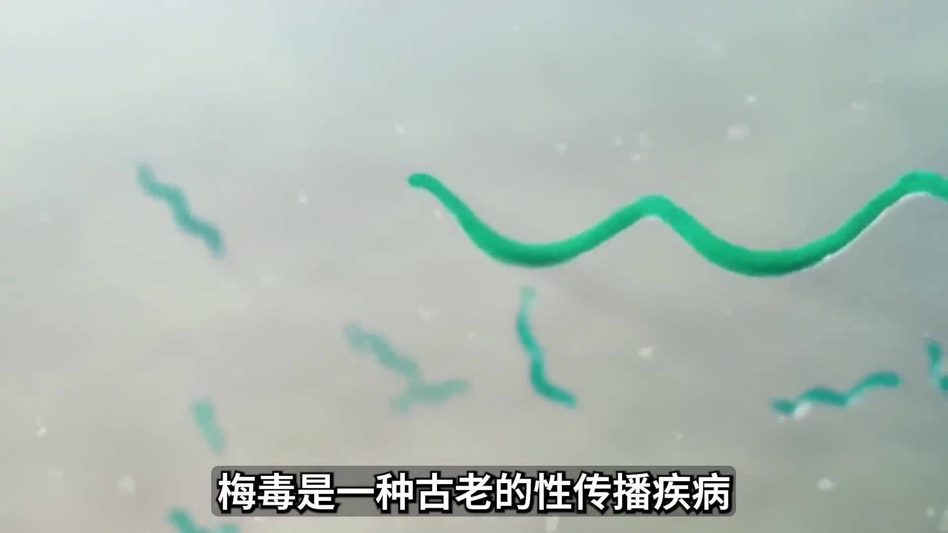 一经感染,终生标记,梅毒到底有多可怕? #涨知识 #细菌 #传染病 #科普...