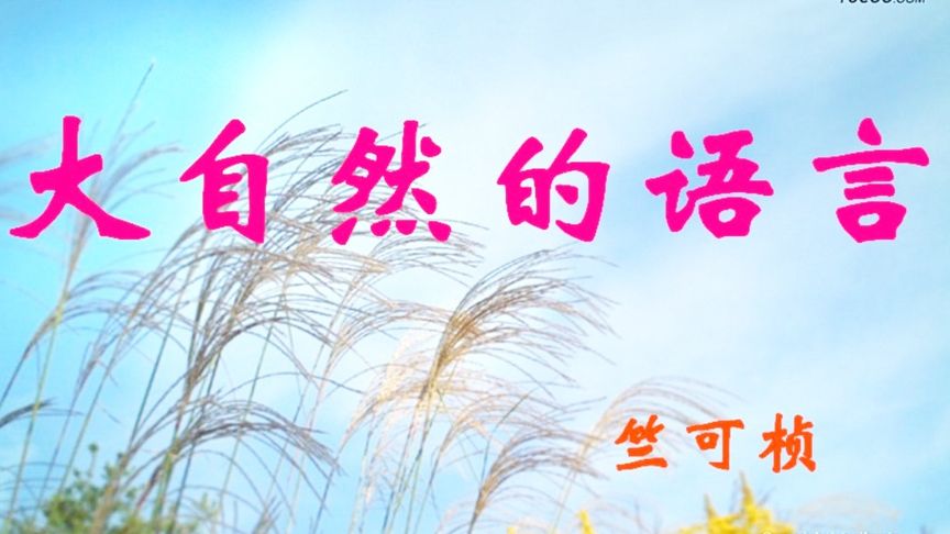 朗读:那些年的课文《大自然的语言》竺可桢