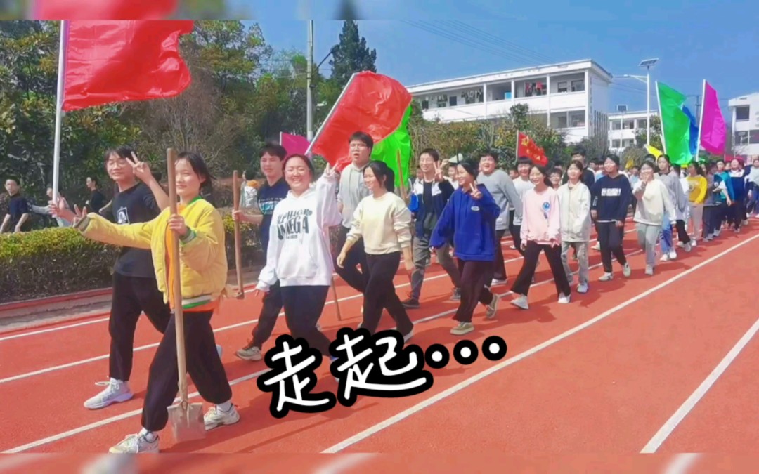 校园生活记录—植树节活动