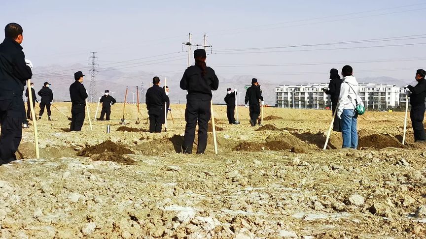 石嘴山:开展植树造林活动,挖坑还有规范标准