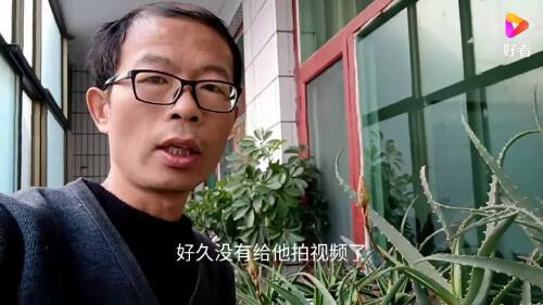 高山喜欢养芦荟,尤其是木立芦荟!现在正在长花苞!开花很漂亮!