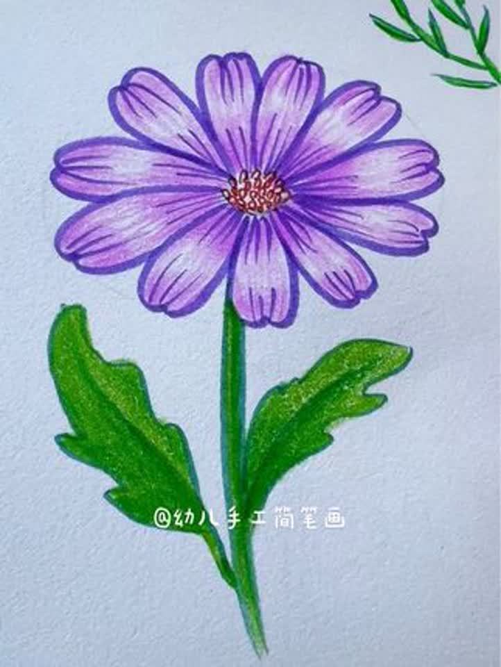 第四种小花花的画法(两个椭圆教你画小花朵,简单又好看) #简易花草...
