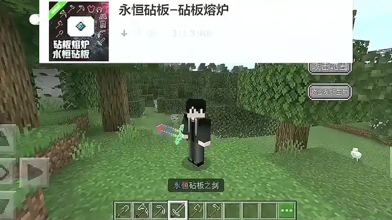 我的世界:永恒砧板